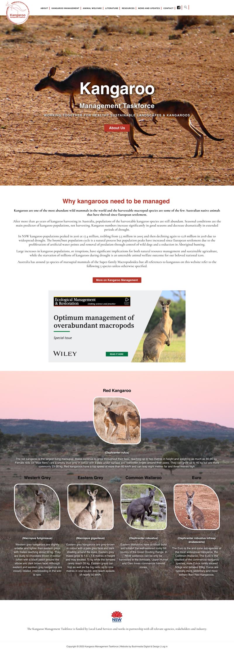 Kangaroo Management Taskforce - BushMedia Digital & Design