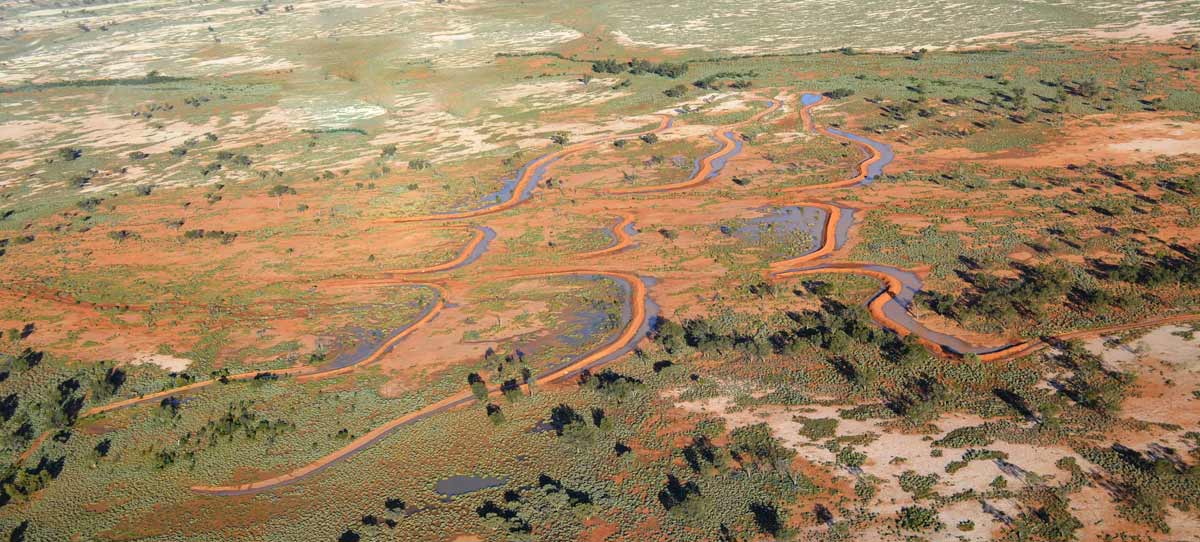 NSW Western Landcare - BushMedia Digital & Design